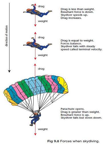 Forces and their effects - GCSE Physics - Revision World